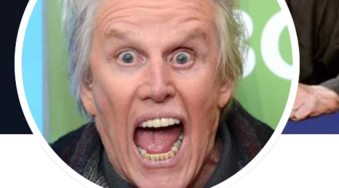 That Time I Saw Gary Busey In Action - by Suzi Parker