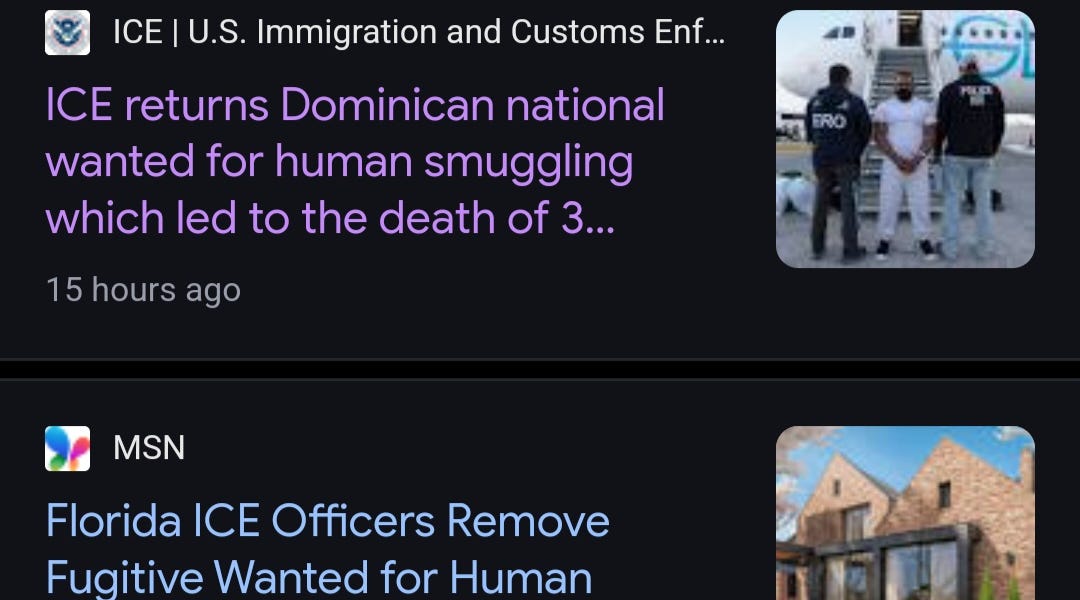 ICE Files: What You May Not Know - by Suzi Parker